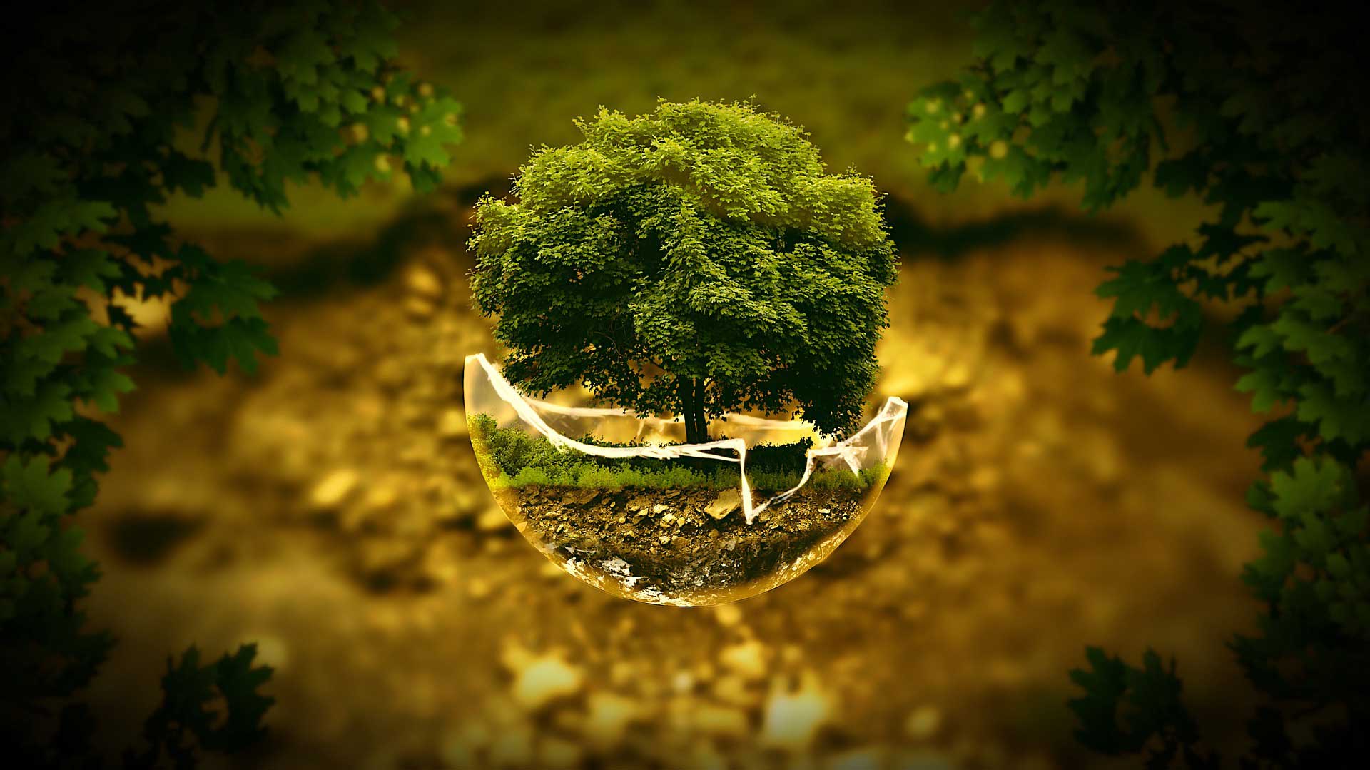 4 astuces simples pour être éco-responsable | Cerise & Vinaigrette